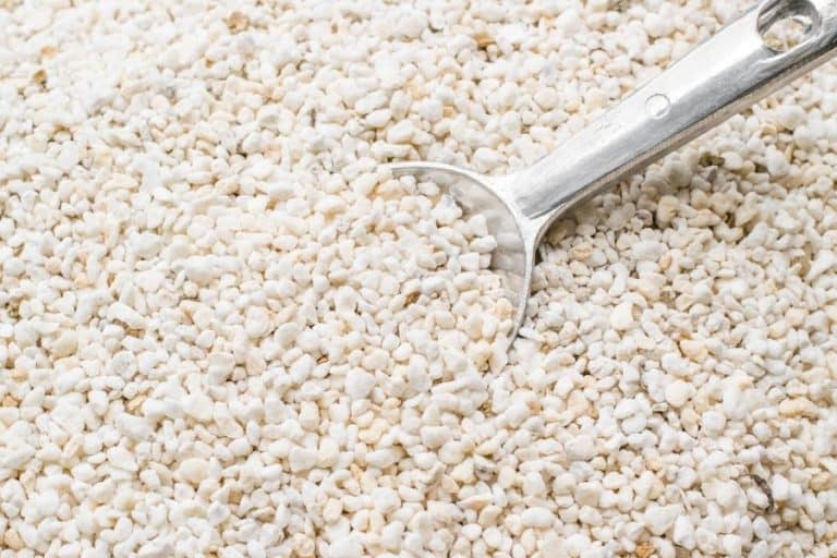 Creating the Perfect Soil for Your Succulents | Succulent Alley