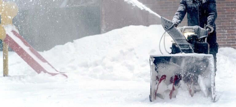 How To Remove Snow From Your Artificial Turf | Succulent Alley