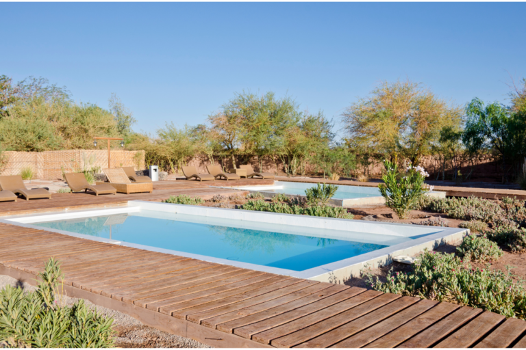 Swimming Pool Landscaping With Succulents and Cacti | Succulent Alley