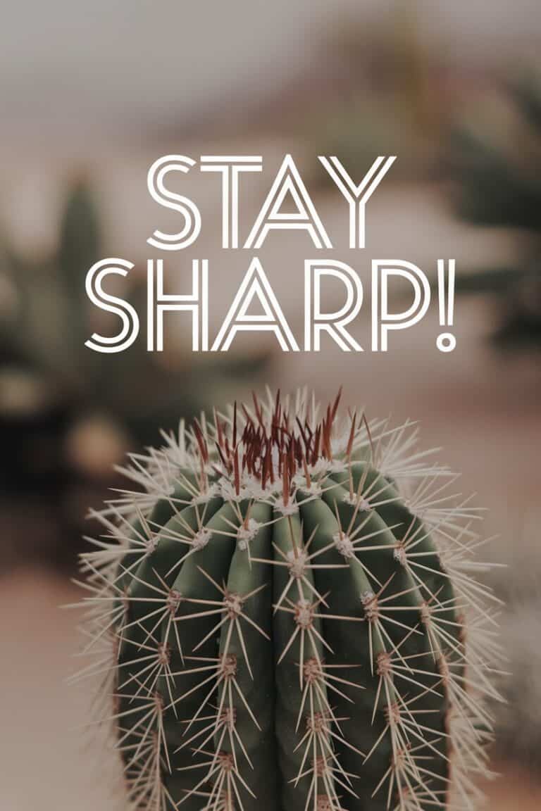 A Juicy Collection of Succulent Quotes and Wordplay | Succulent Alley
