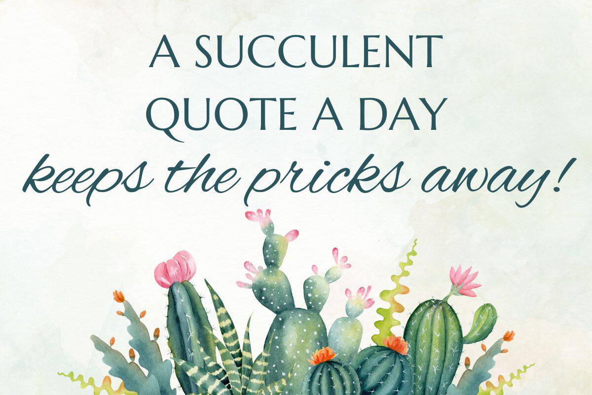 A Juicy Collection of Succulent Quotes and Wordplay | Succulent Alley
